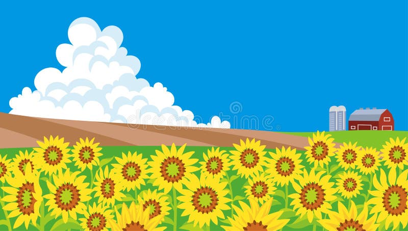 Sunflower field Landscape stock vector. Illustration of field - 93344535