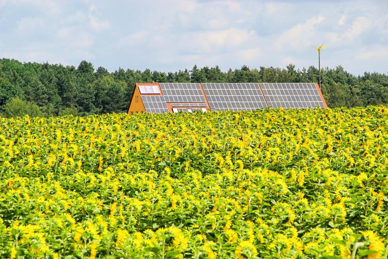 Sunflower Field and Solar Plant Stock Image - Image of modul, cell ...