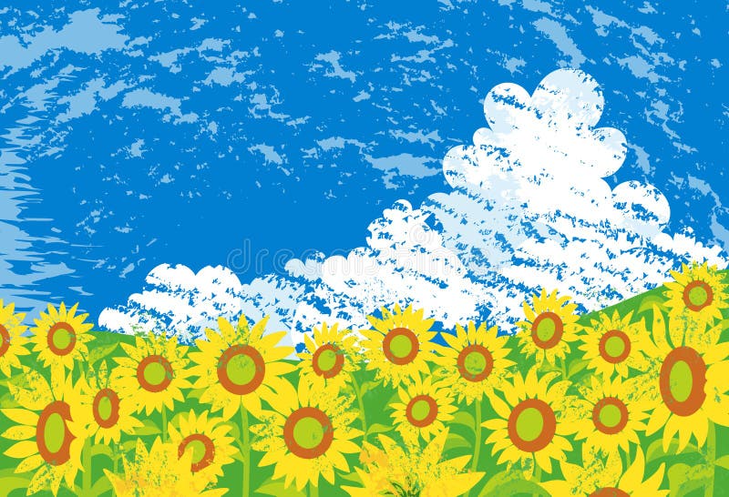 Sunflower field stock vector. Illustration of analog - 39022340