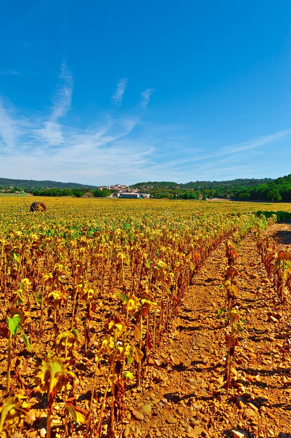 French Fields stock image. Image of alpine, architecture - 24114159