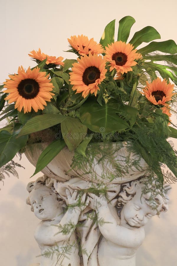 Sunflower Flower Bouquet in a Bowl Stock Photo - Image of blooming ...