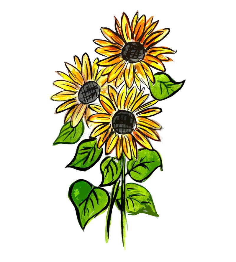 Turquoise Sunflower Stock Illustrations – 174 Turquoise Sunflower Stock ...