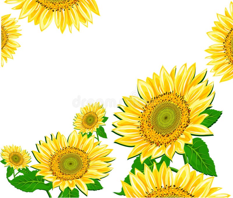 Horizontal Seamless Background with Sunflowers and Stock Vector ...