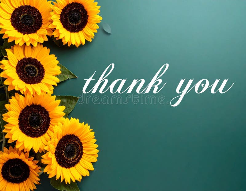 Sunflower on Green Background Greeting Card Stock Image - Image of ...