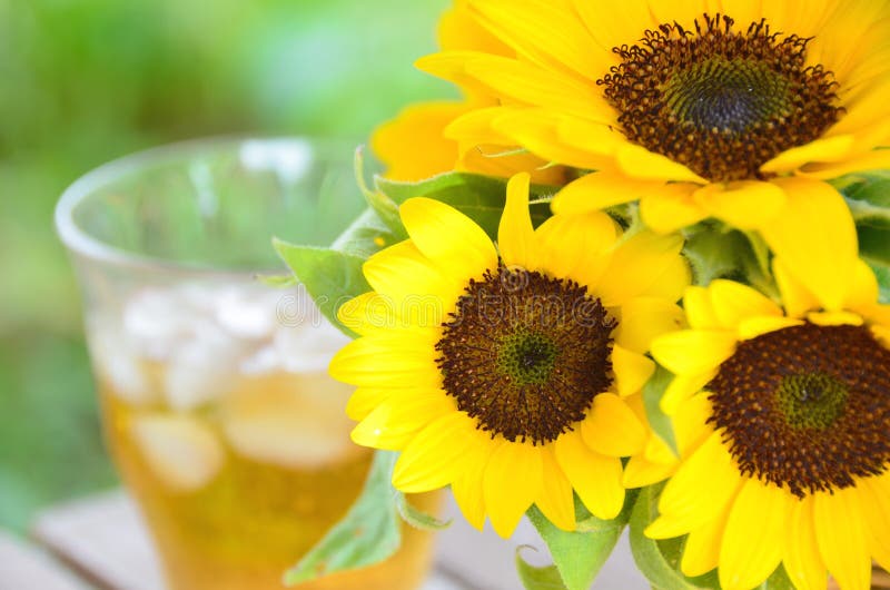 Sunflower and iced tea stock photo. Image of drink, summer - 31061242