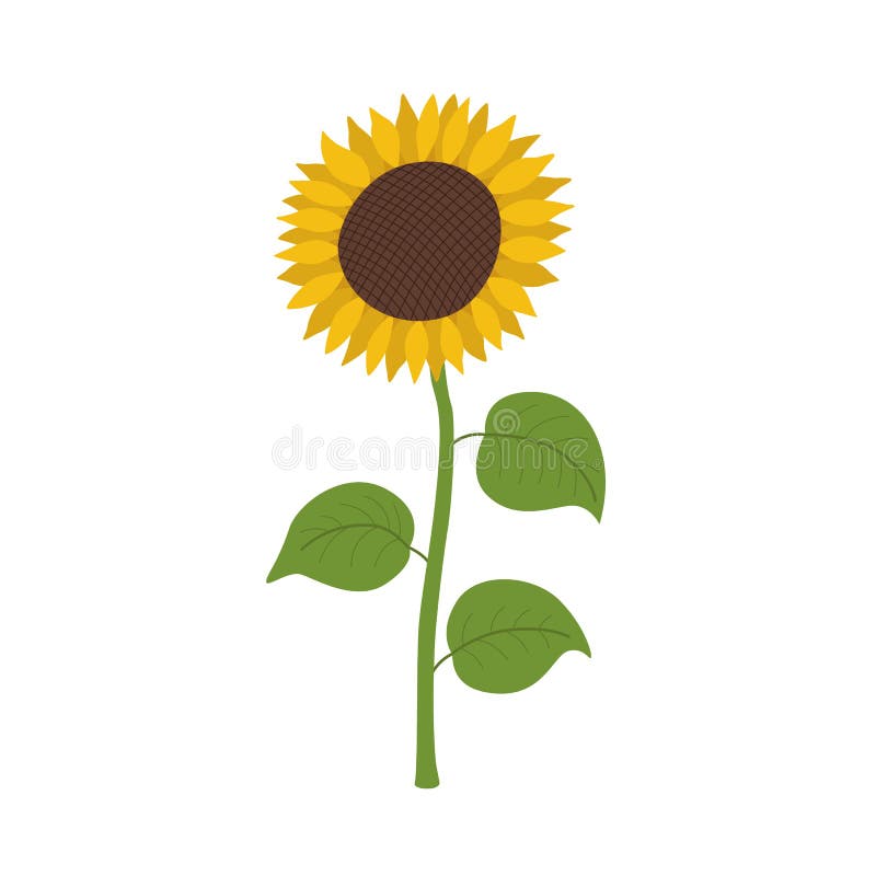 Sunflower icon cartoon. stock vector. Illustration of graphic - 101228711