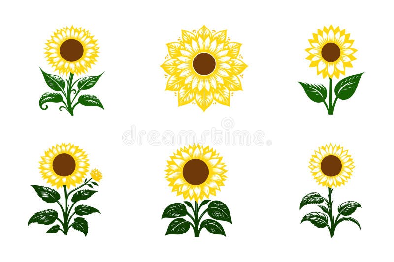 Sunflower Icon, Sunflower Vector Illustration Stock Vector ...