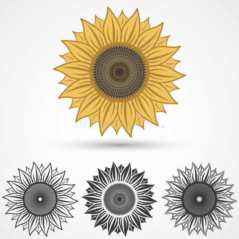 Sunflower Icon, Vector Illustration Stock Vector - Illustration of ...
