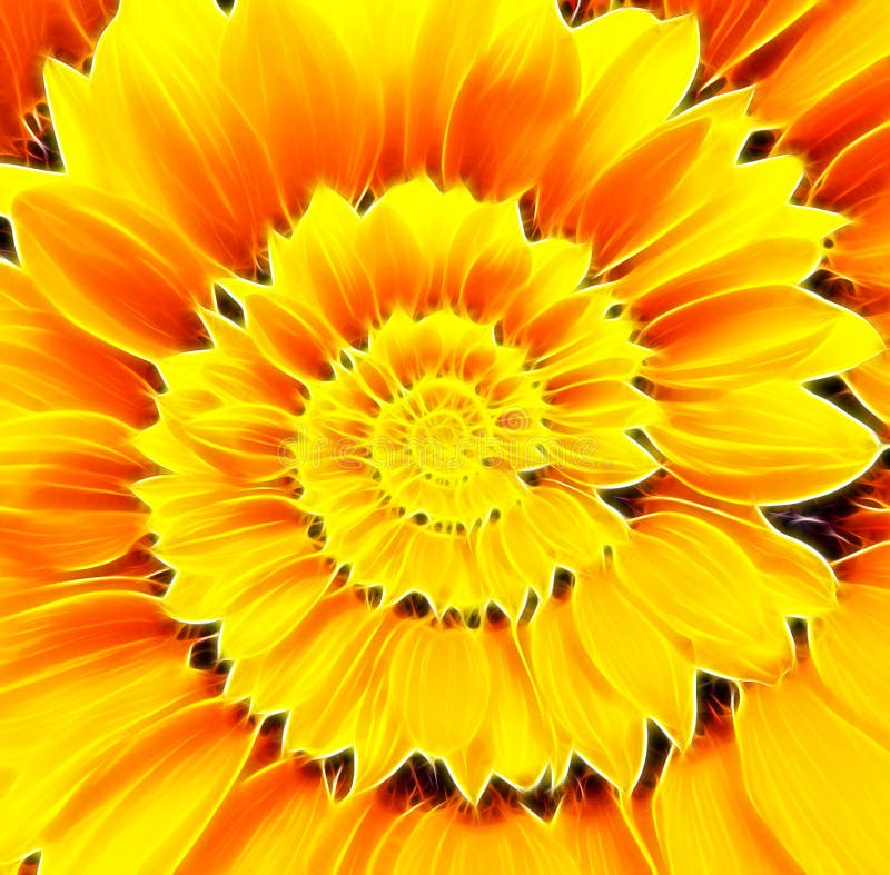 Sunflower Infinity Spiral Abstract Background. Stock Photo - Image of ...