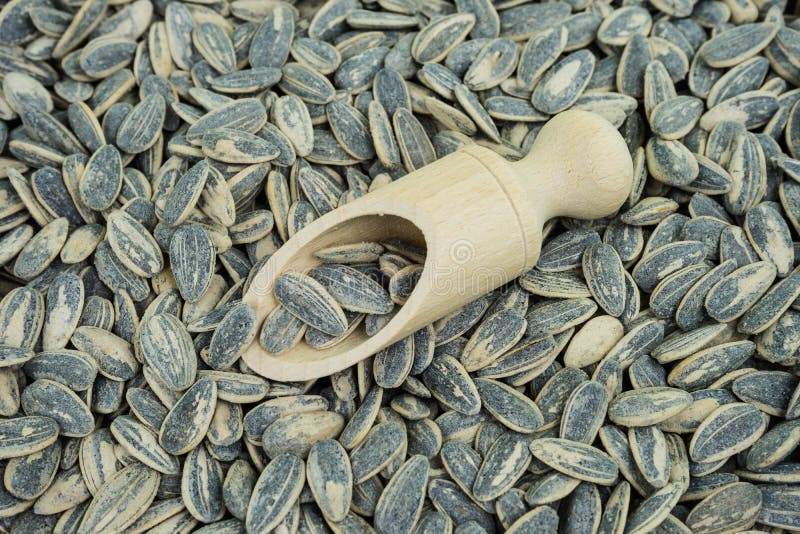 Sunflower Kernel and Black Sesame Seed Stock Image - Image of food ...