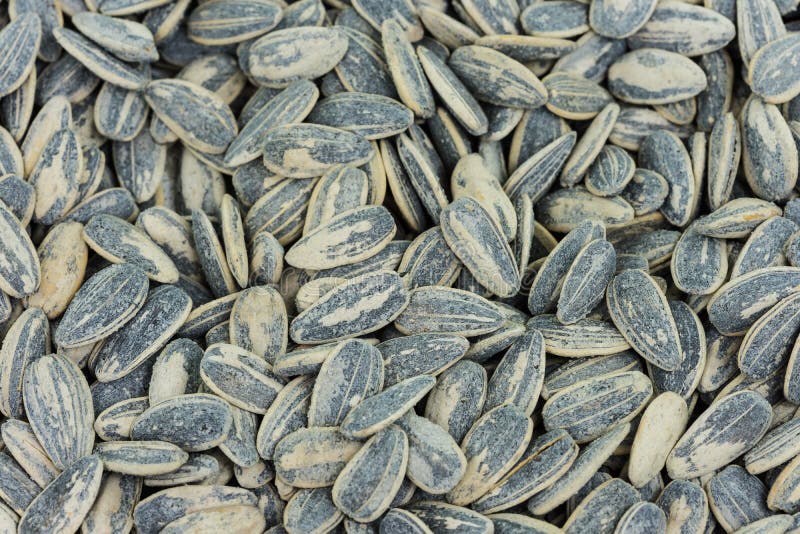 Sunflower Kernel and Black Sesame Seed Stock Image - Image of food ...