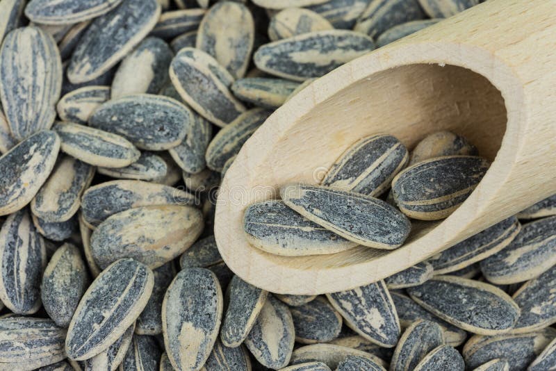 Sunflower Kernel and Black Sesame Seed Stock Image - Image of food ...