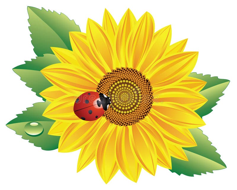 Ladybirds Round Flower Frame Stock Illustration - Illustration of ...