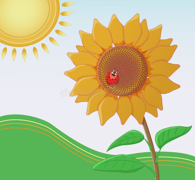 Sunflower with a Ladybug Facing the Sun Stock Vector - Illustration of ...