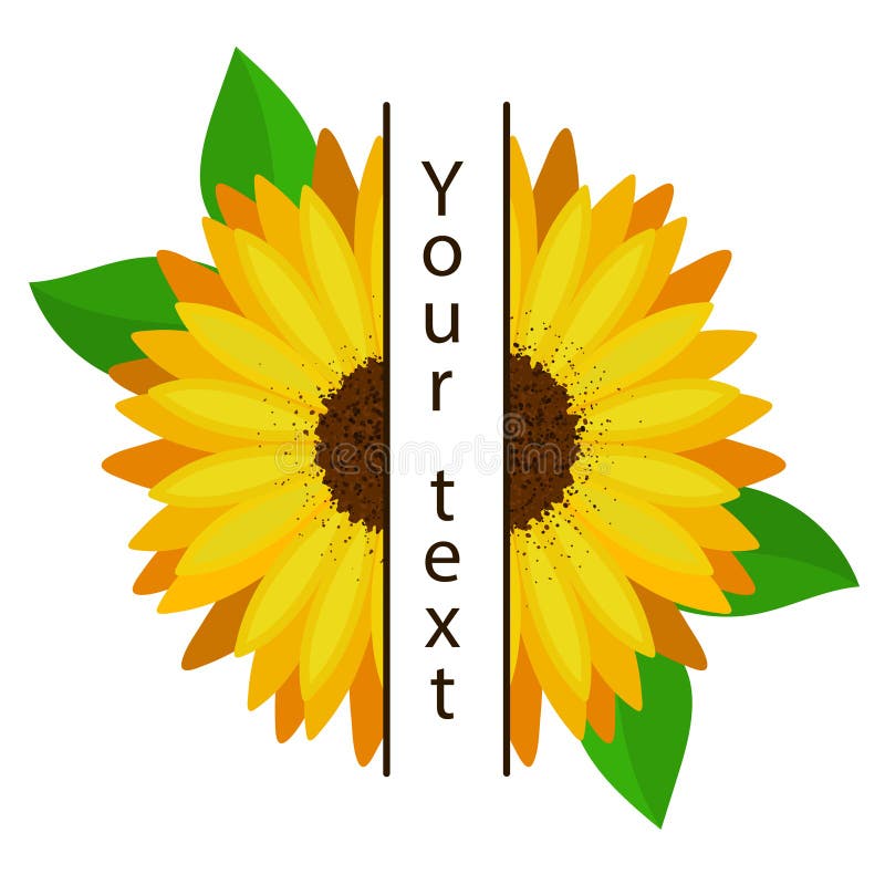 Sunflower Monogram Template, Half Sunflower, Hand Drawn Vector ...