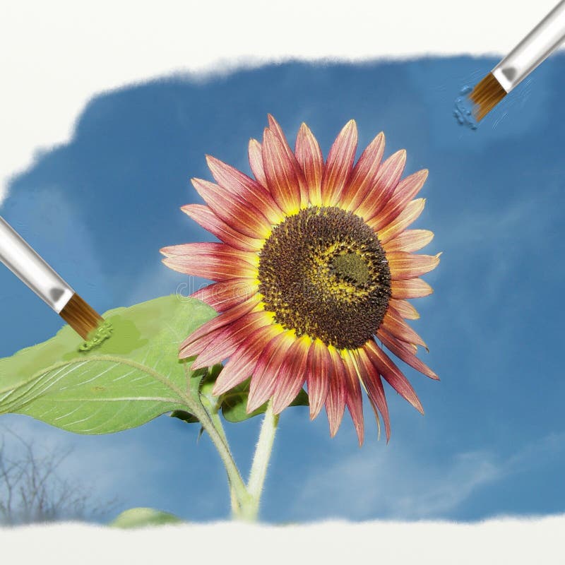 Sunflower oil effect stock photo. Image of technique - 18671284