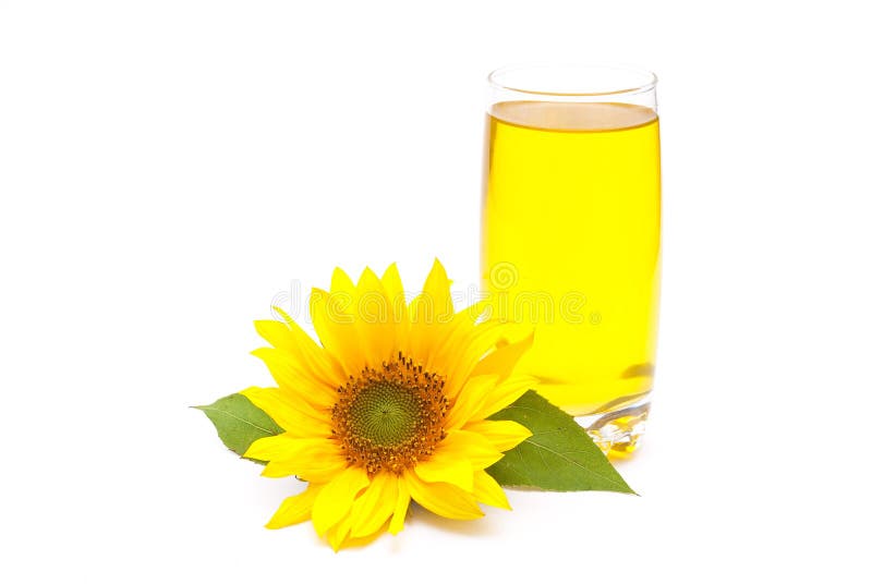Sunflower Oil And Sunflower Picture. Image: 15888329