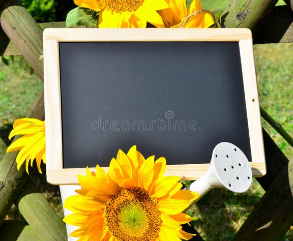 Sunflower panel shield stock image. Image of summer, slate - 33143917