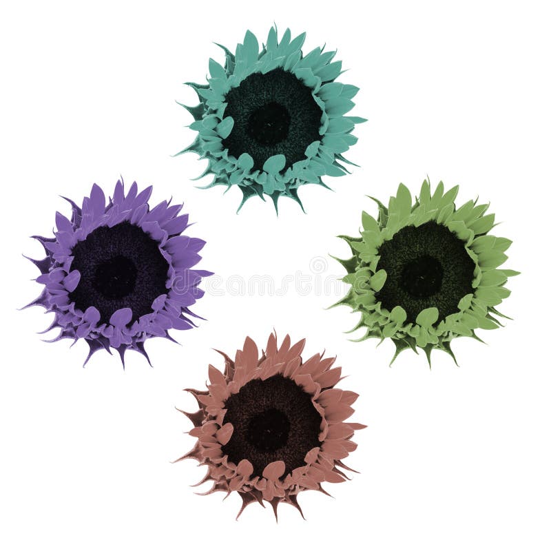 Sunflower Pattern Picture. Image: 1197057