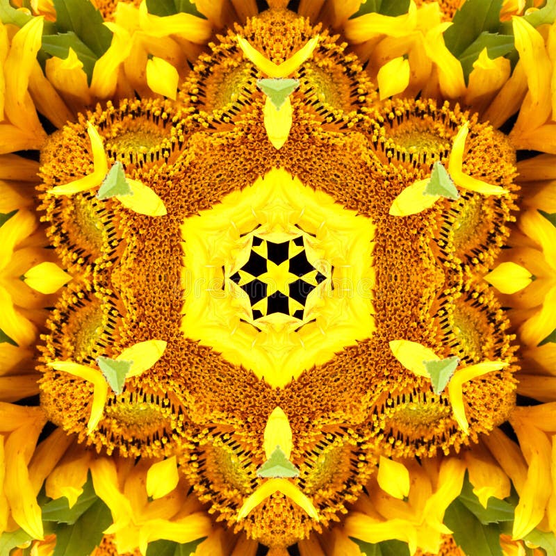 Sunflower Pattern Background Sun Flower. Color Stock Illustration ...
