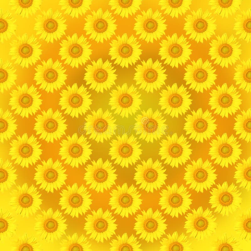 Sunflower pattern stock illustration. Illustration of pattern - 42567481