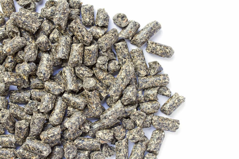 165 Sunflower Pellets Stock Photos - Free & Royalty-Free Stock Photos ...