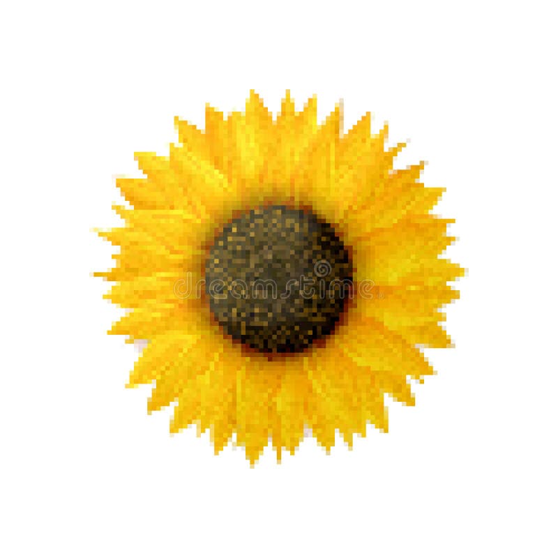 Sunflower pixel art icon stock vector. Illustration of pattern - 267015717