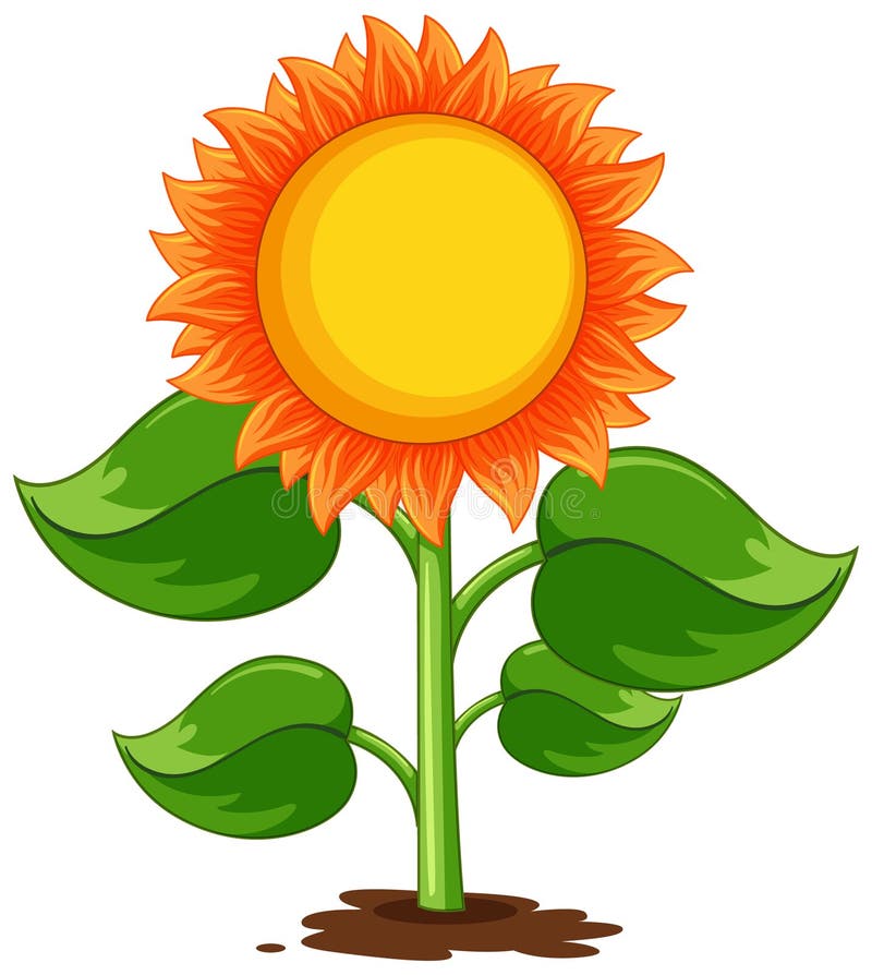 Girasol Caricatura Sunflower Cartoon Stock Vector By ©tigatelu