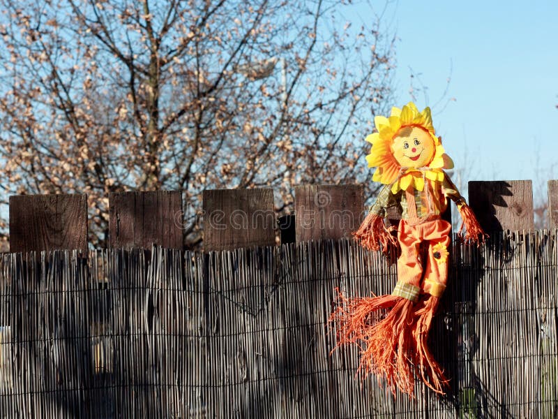 Sunflower scarecrow stock photo. Image of yellow, spring - 24014768