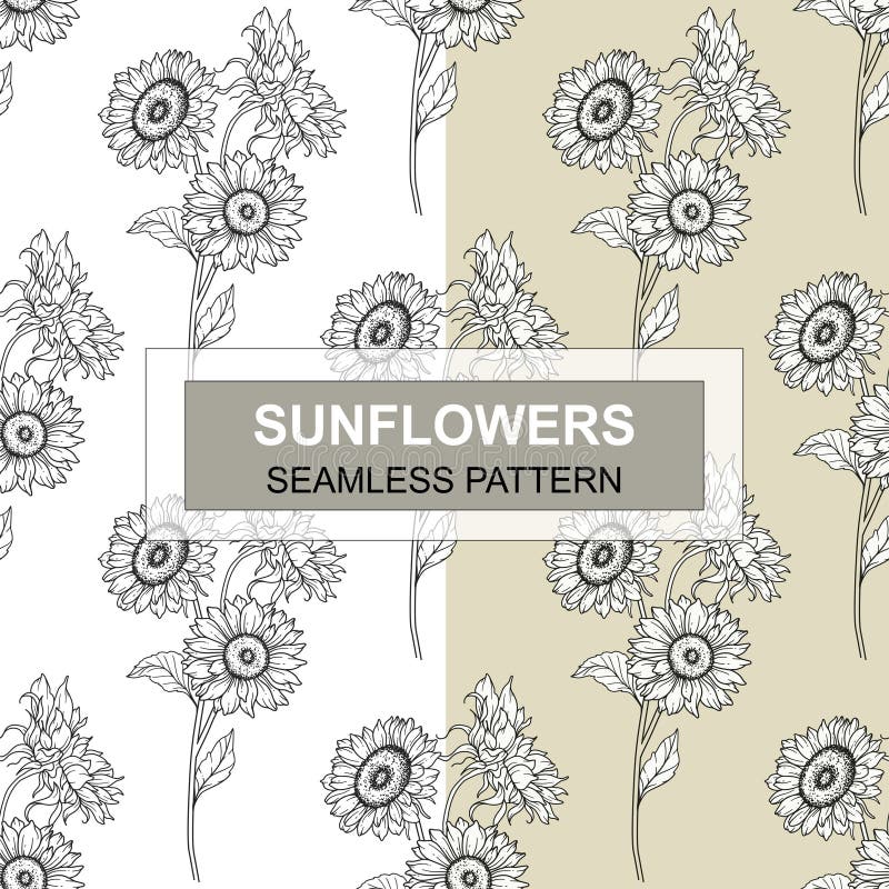 Sunflower Seamless Pattern. Floral Seamless Background. Line Art Flower ...