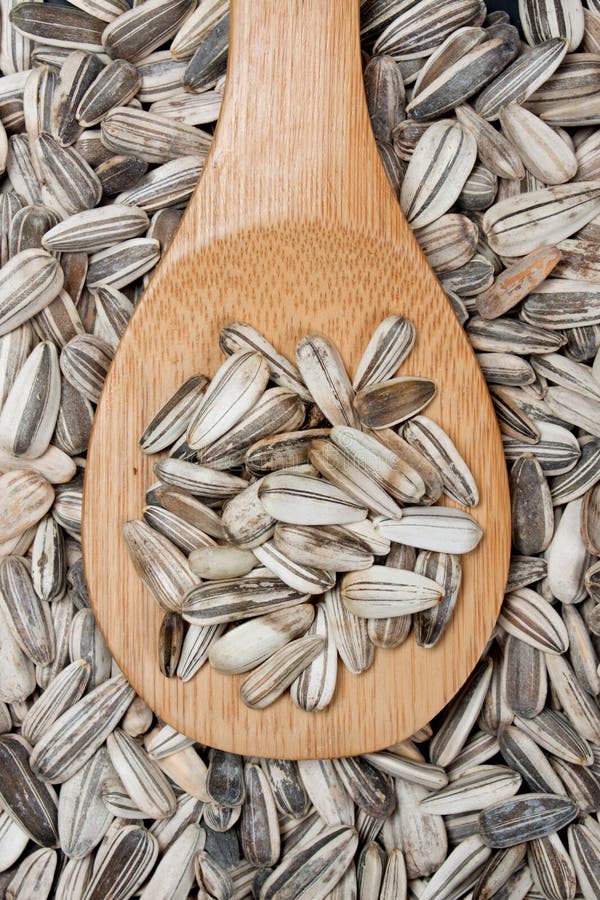 Sunflower seed stock image. Image of photograph, ingredient - 22378781