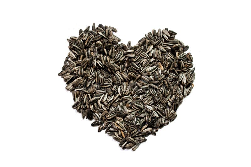 Sunflower Seed Create with Heart Seed Stock Photo - Image of closeup ...
