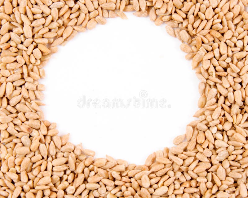 Sunflower seed frame stock image. Image of energy, health - 25763983