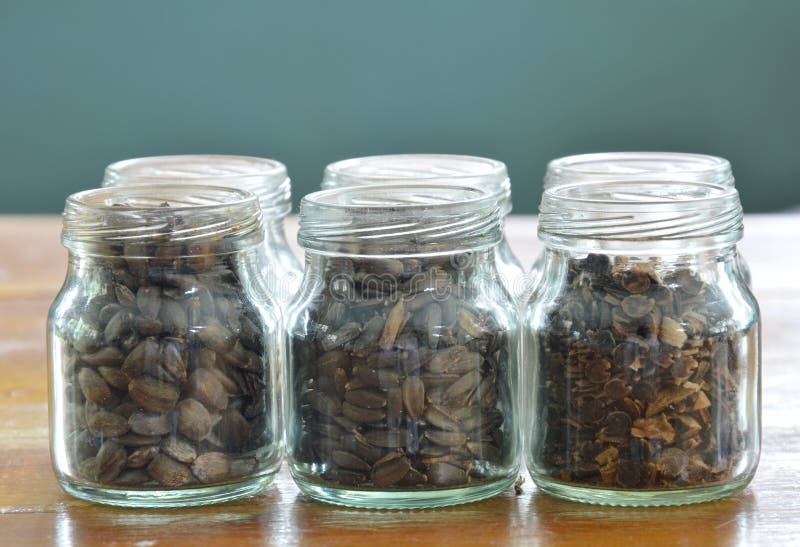 Sunflower Seed in the Glass Bottle on Table Stock Photo - Image of ...