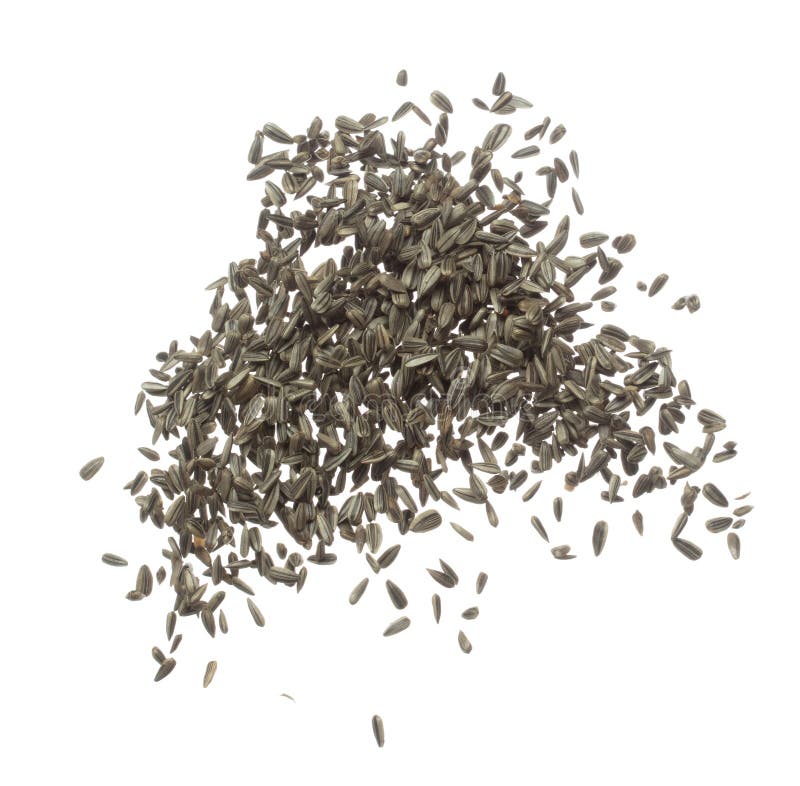 Sunflower Seed Grain Fly in Air. Sunflower Seed Falling Scatter ...