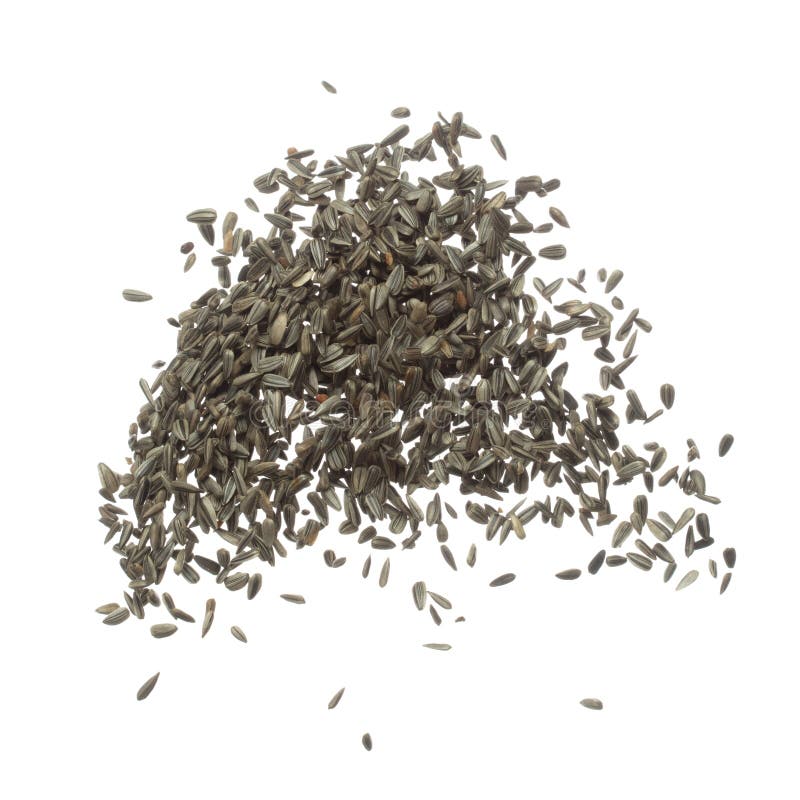 Sunflower Seed Grain Fly in Air. Sunflower Seed Falling Scatter ...