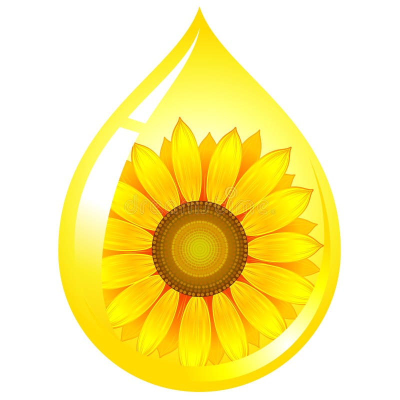 Sunflower-seed oil stock vector. Illustration of fuel - 9239987