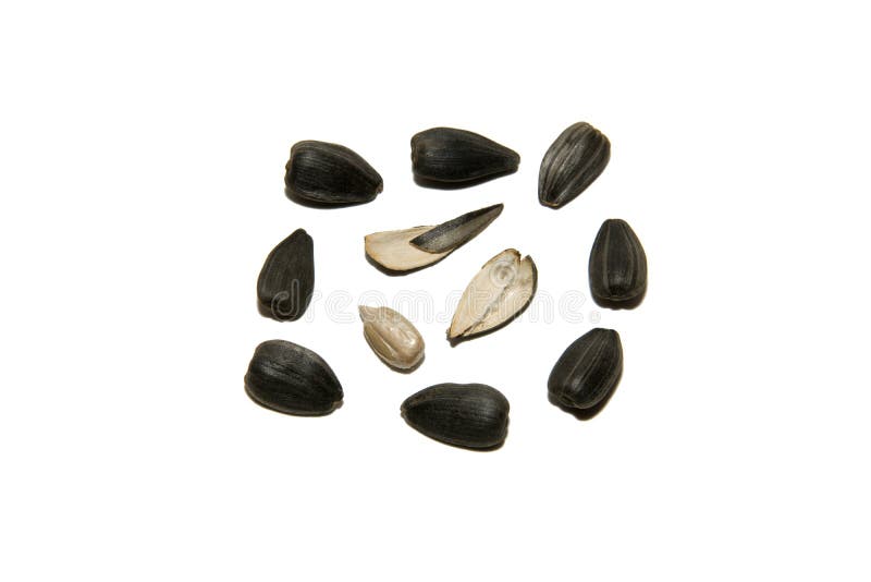 Sunflower Seed. Open Sunflower Seeds. Isolated on White Background ...