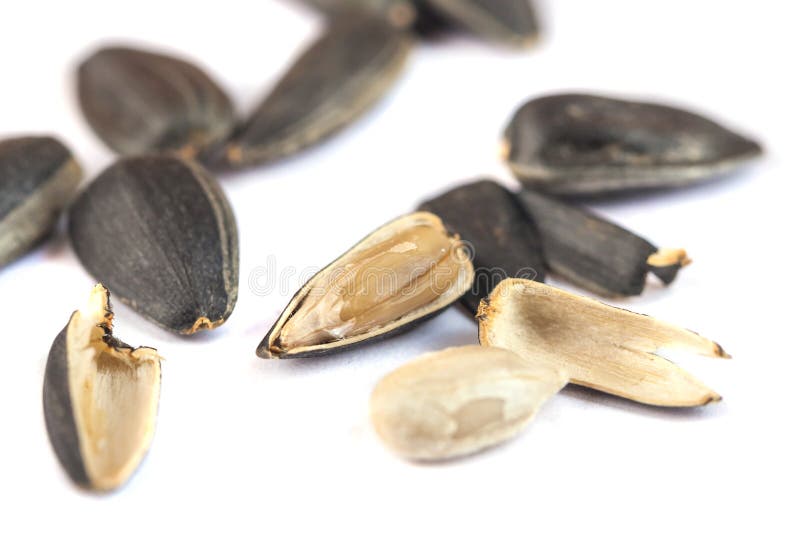 Sunflower Seed Open on White Background, Close Up Stock Photo - Image ...
