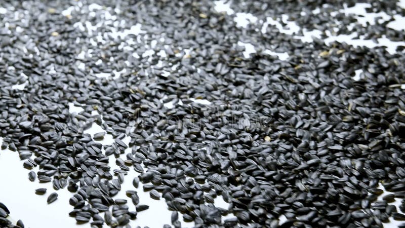 Sunflower Seed Processing at the Factory. Stock Footage - Video of ...