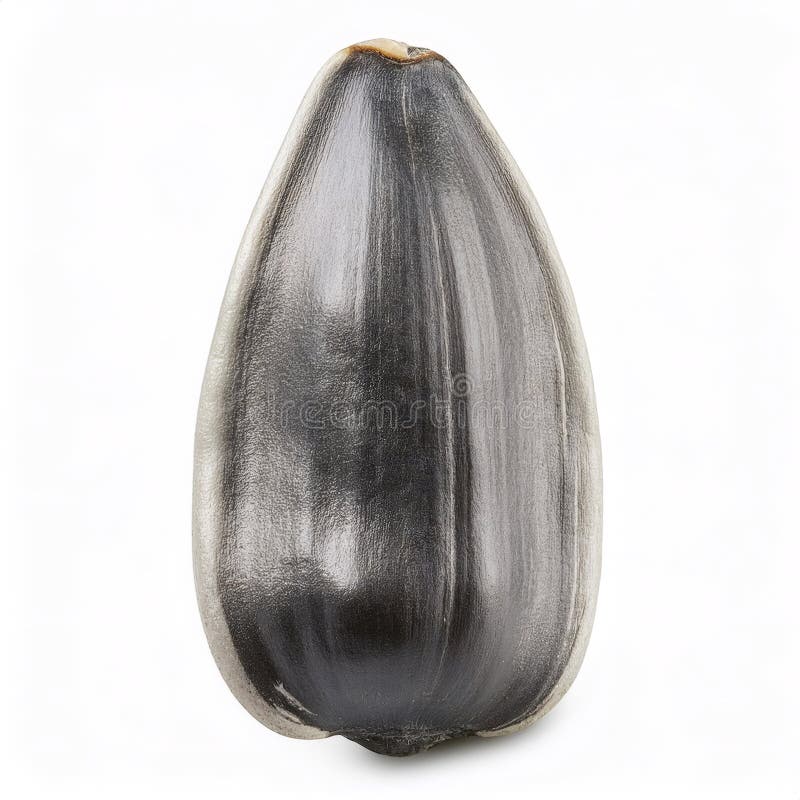 Sunflower Seed Resting on Pristine White Surface, Revealing Intricate ...