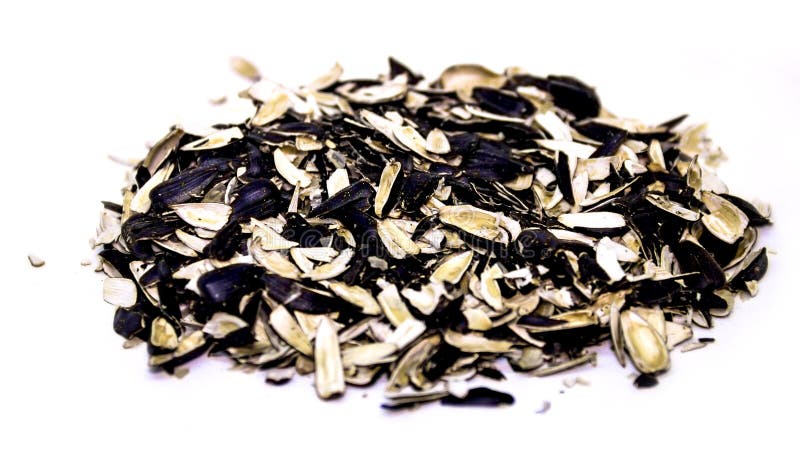 Sunflower seed shells stock photo. Image of close, garbage - 107760530