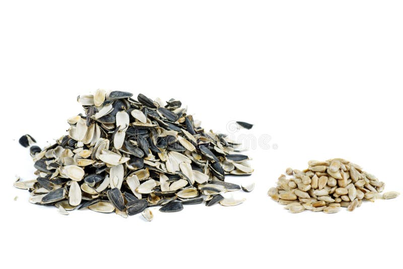 Sunflower seed shells stock image. Image of close, background - 152313013