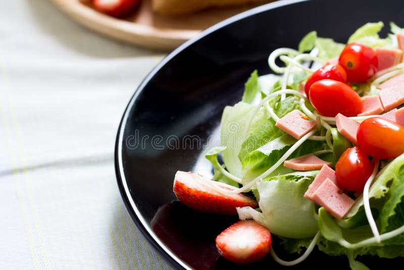 Cos salad stock image. Image of salad, seedlings, seedling - 148309013