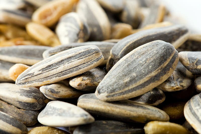 Sunflower Seeds - Golden Ratio - Golden Spiral - Fibonacci Spiral Stock ...