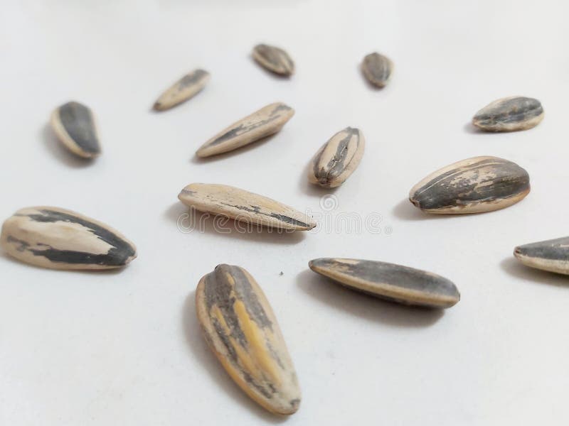 Sunflower seeds . stock photo. Image of sunflower, israel - 210973614