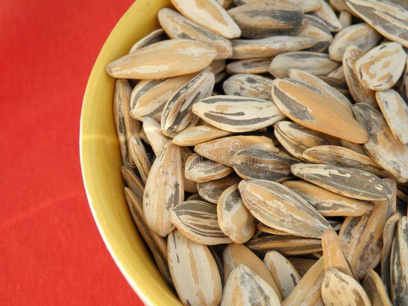 Sunflower Seeds stock image. Image of environmental, health - 6714675