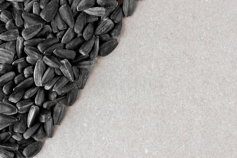 Sunflower Seeds. Copy Space. View from Above Stock Image - Image of ...