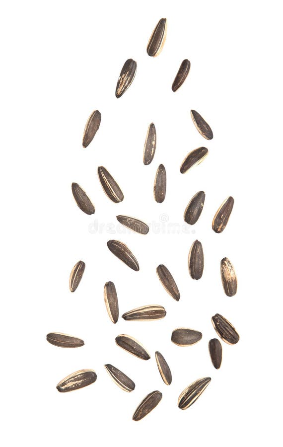 Seeds falling stock photo. Image of falling, peasant, crop - 399922