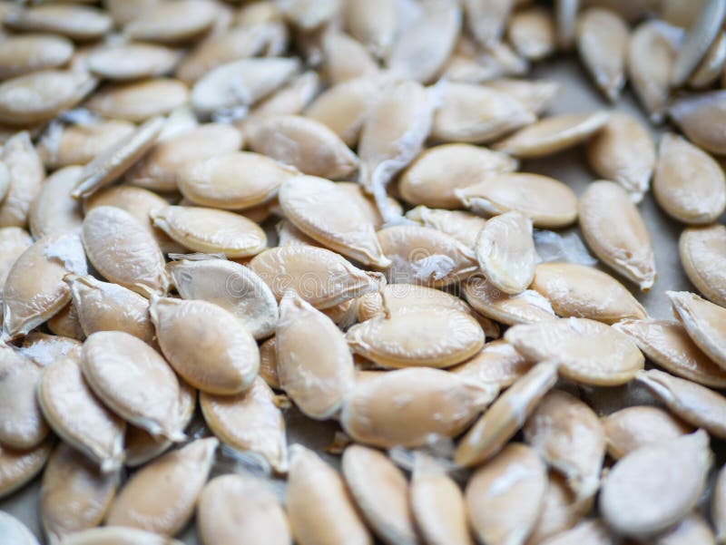Sunflower Seeds. Fresh Sunflower Seeds. Close-up. White Color Stock ...